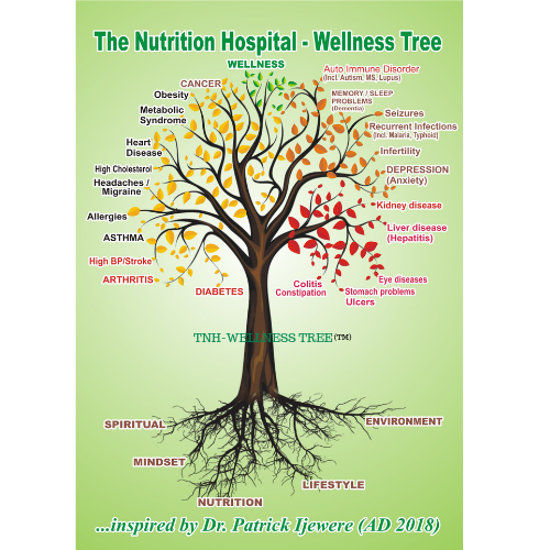 The Nutrition Hospital – Wellness Tree – Carib Health Group